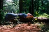 About | Empower Your Healing Journey — Shefa Wellness