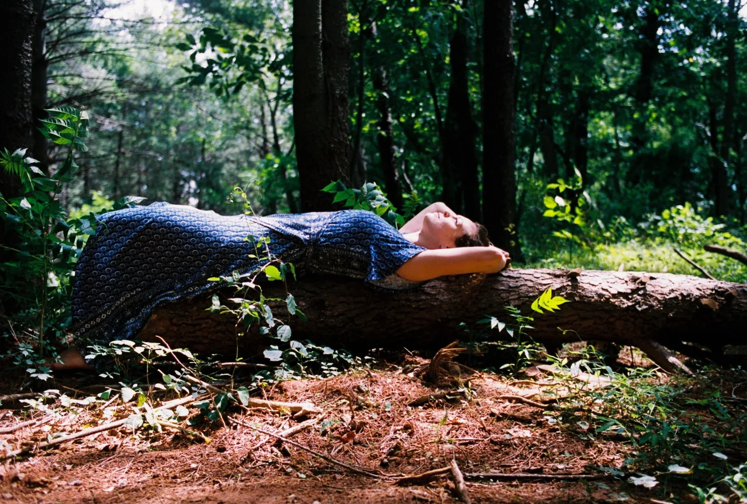 About | Empower Your Healing Journey — Shefa Wellness