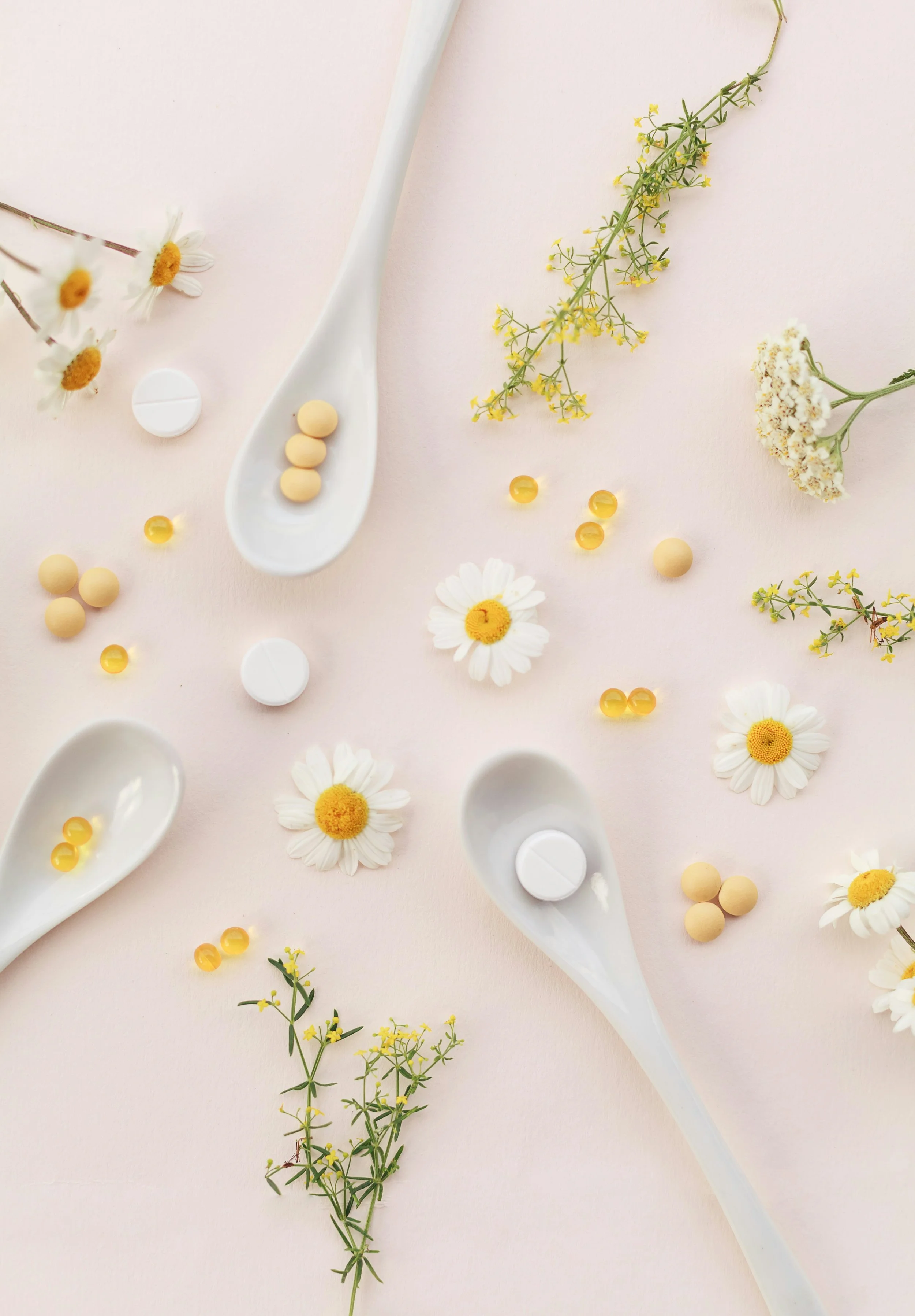 About | Empower Your Healing Journey — Shefa Wellness