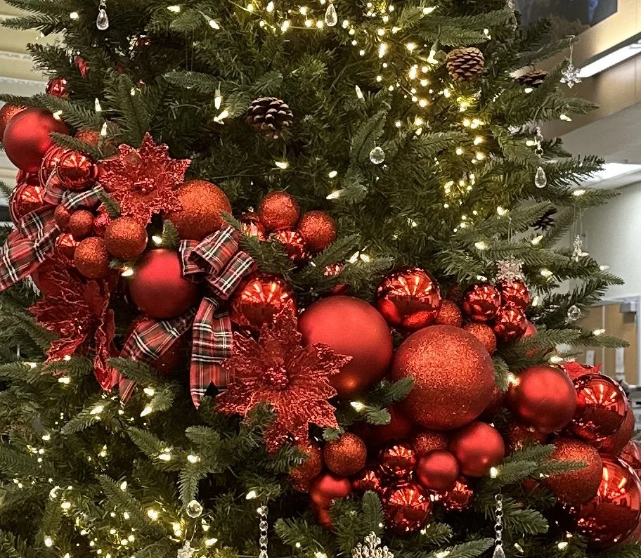 Committee — Festival of Trees Cody