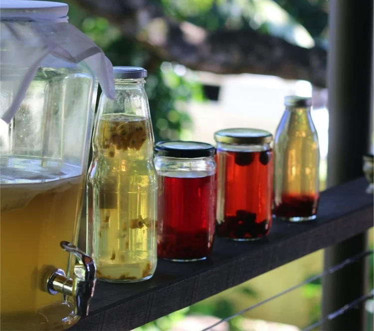How to Brew Kombucha at Home: Complete Guide — Harvesting Flavor