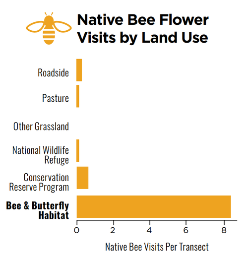 The Bee & Butterfly Habitat Fund