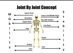 Stability vs. Mobility: Why is it important? — Fortitude Health ...
