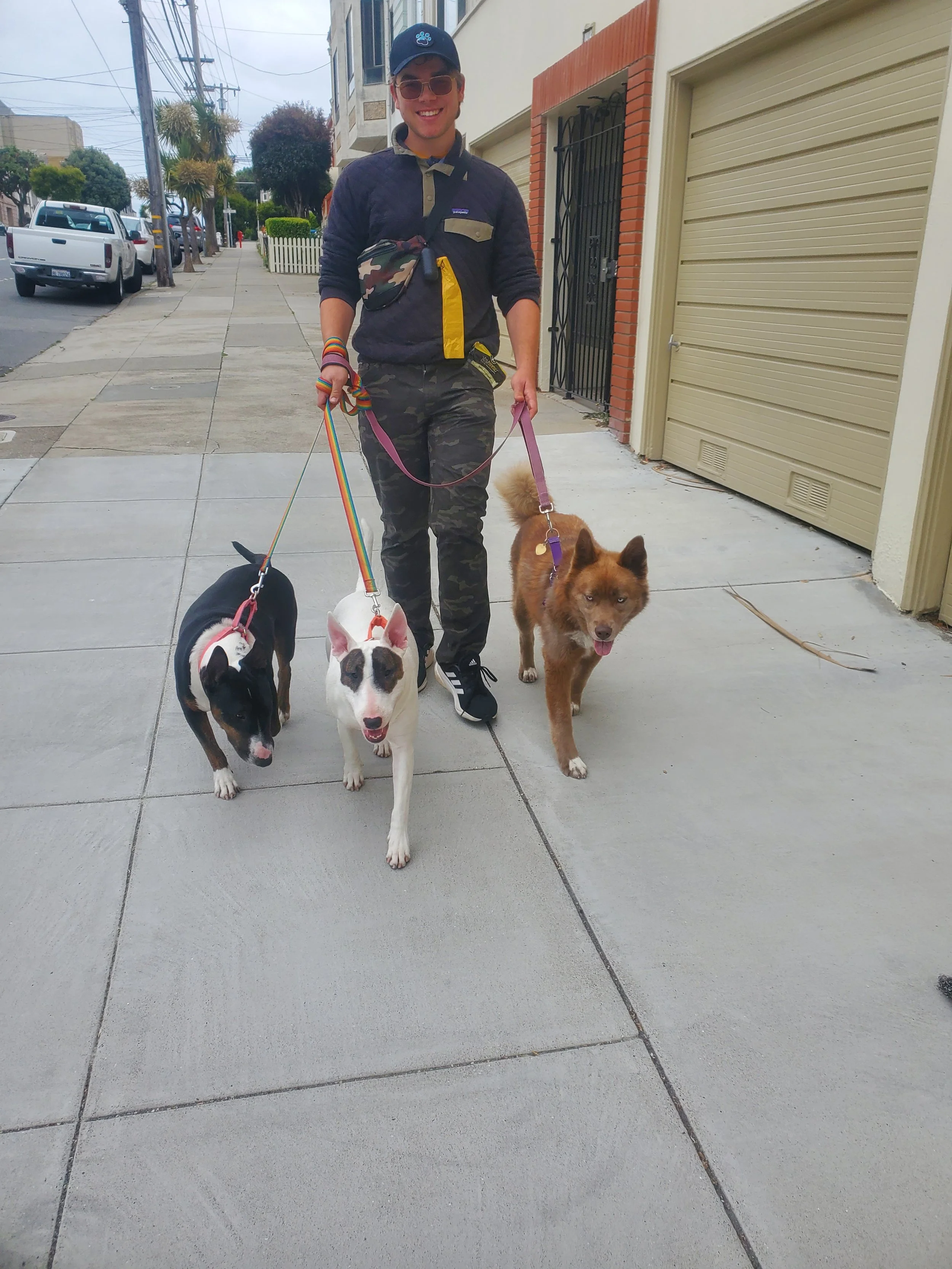 pawsome skills | Enhance Your Dog's Skills Today