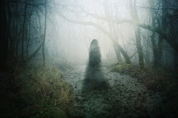 Why Ghosting Happens and How to Heal | Trauma Therapy — Dr. Jamie Gibbs ...