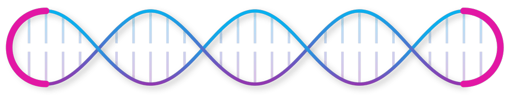 DNA Vaccines