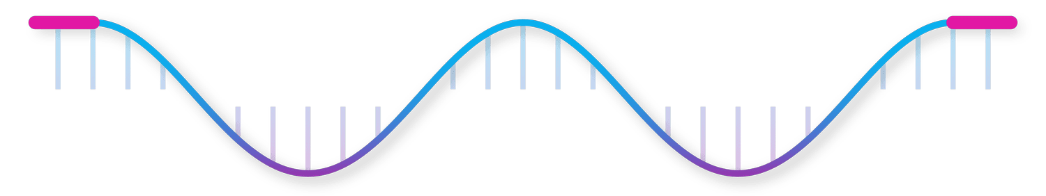 Leveraging synthetic ssDNA and dsDNA donor templates for CRISPR ...