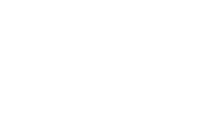 Manchester Museum | Discover Unique Exhibits