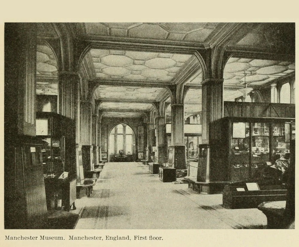 The collections we care for | Discover and Connect Today — Manchester ...