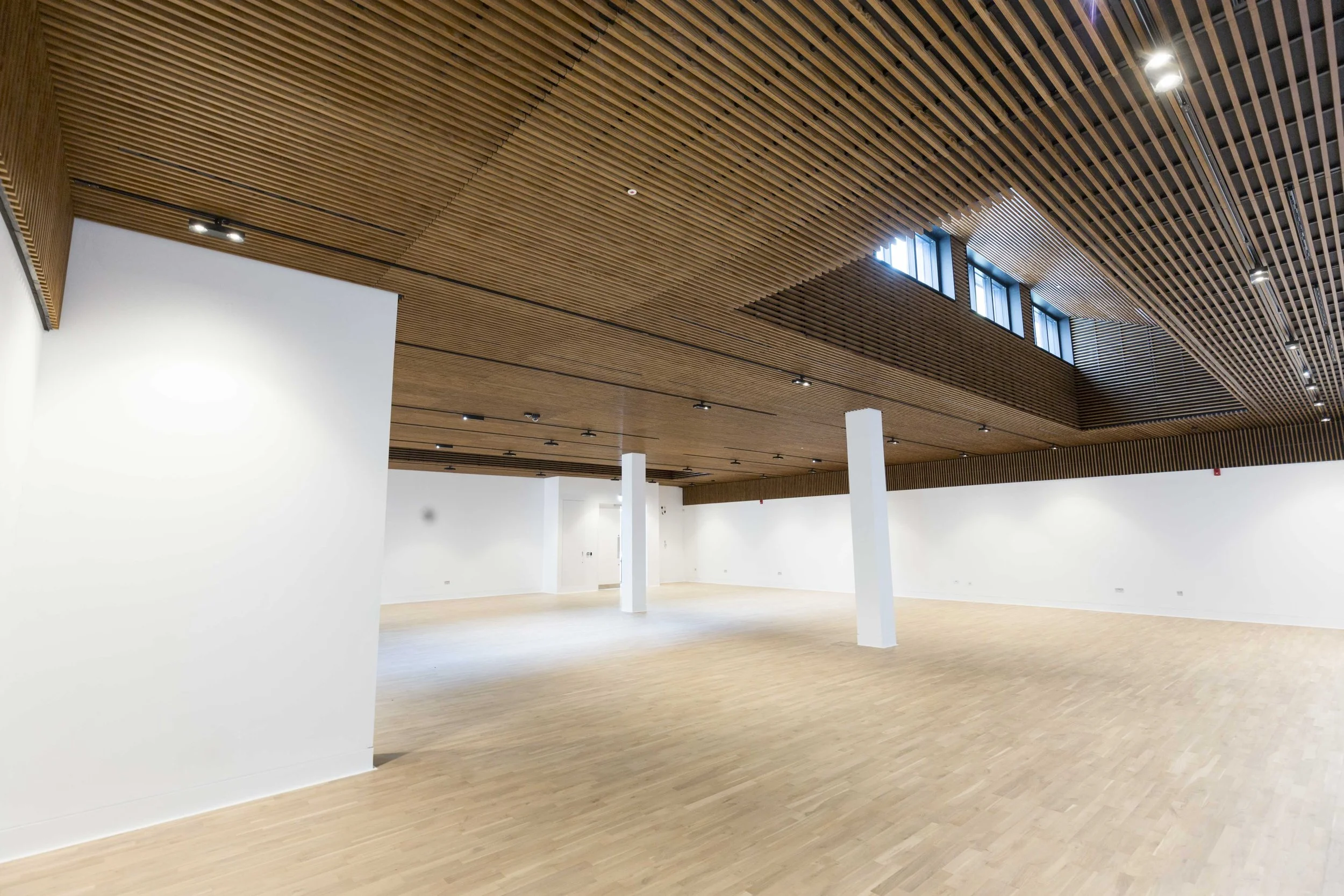 The collections we care for | Discover and Connect Today — Manchester ...