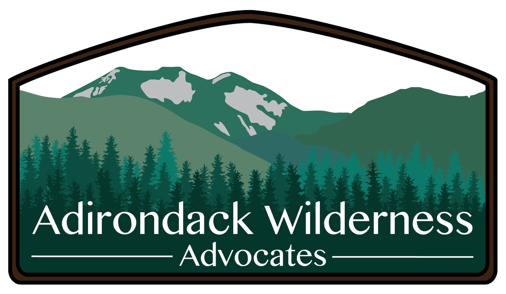 Adirondack Wilderness Advocates Calls for Rejection of the APA’s DSEIS ...