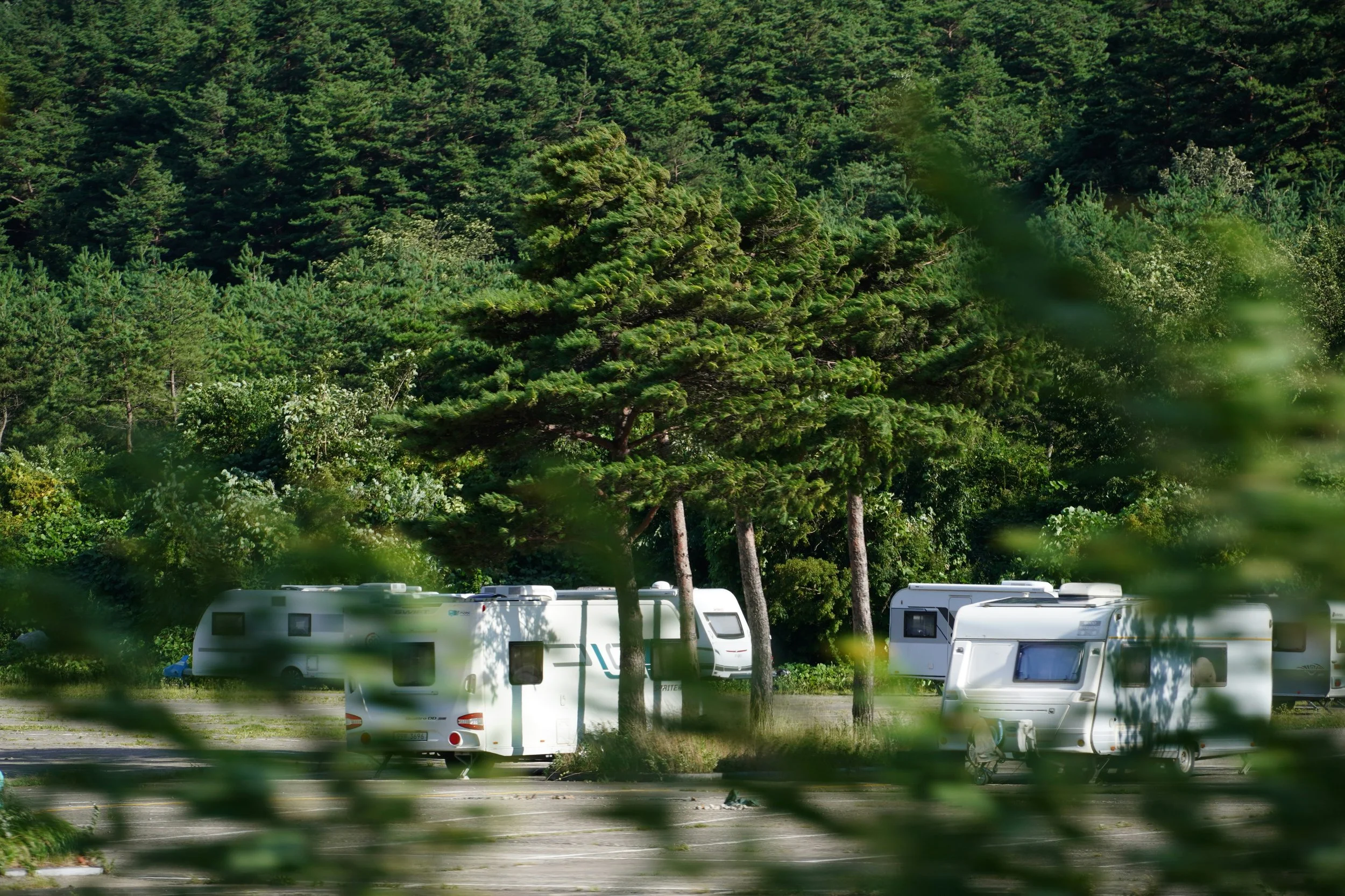 Camping Made Easy - Home