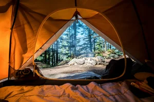 Pemberton Accommodation — Tourism Pemberton
