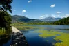 How To Get To Pemberton | Plan Your Visit Today — Tourism Pemberton