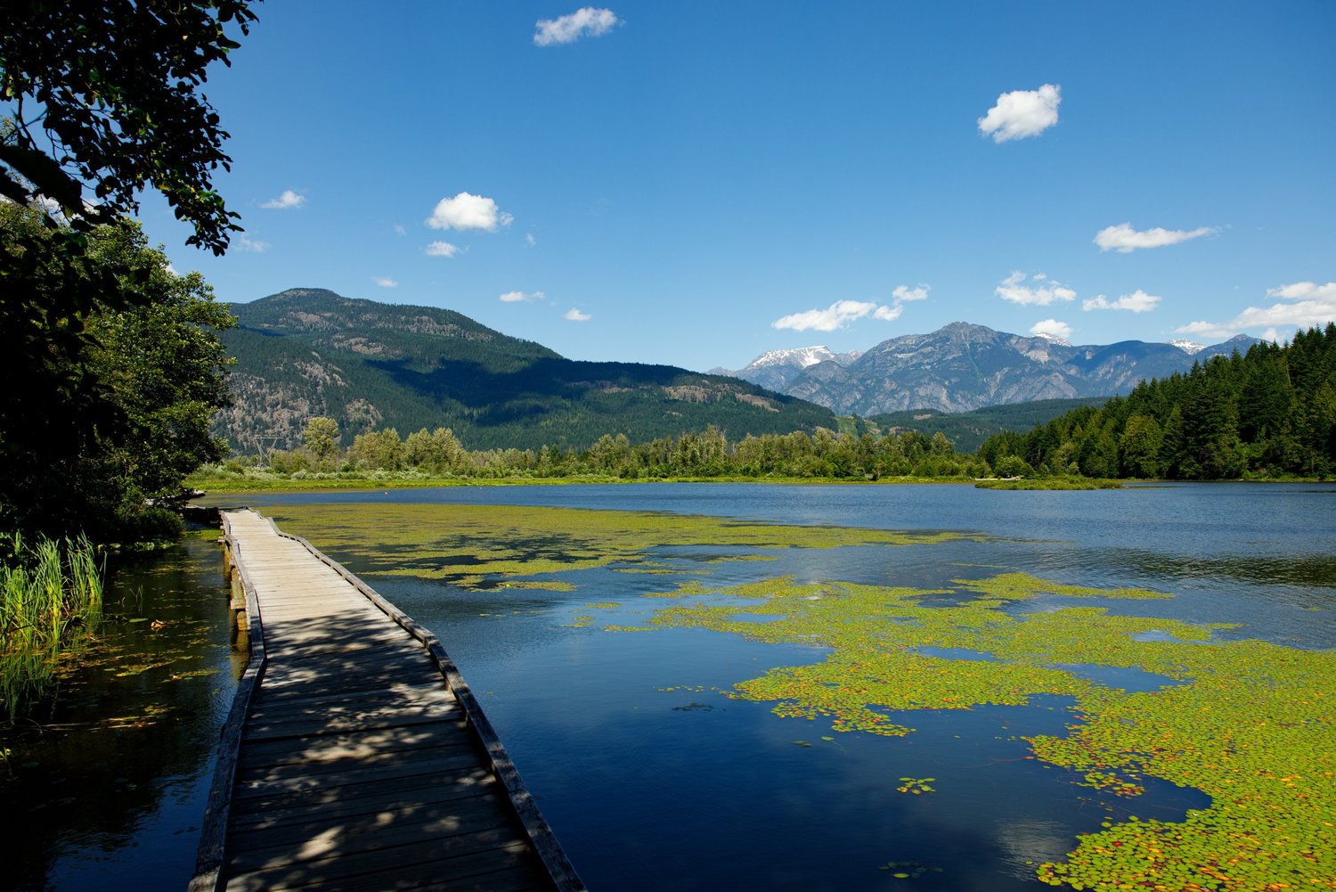 How To Get To Pemberton | Plan Your Visit Today — Tourism Pemberton