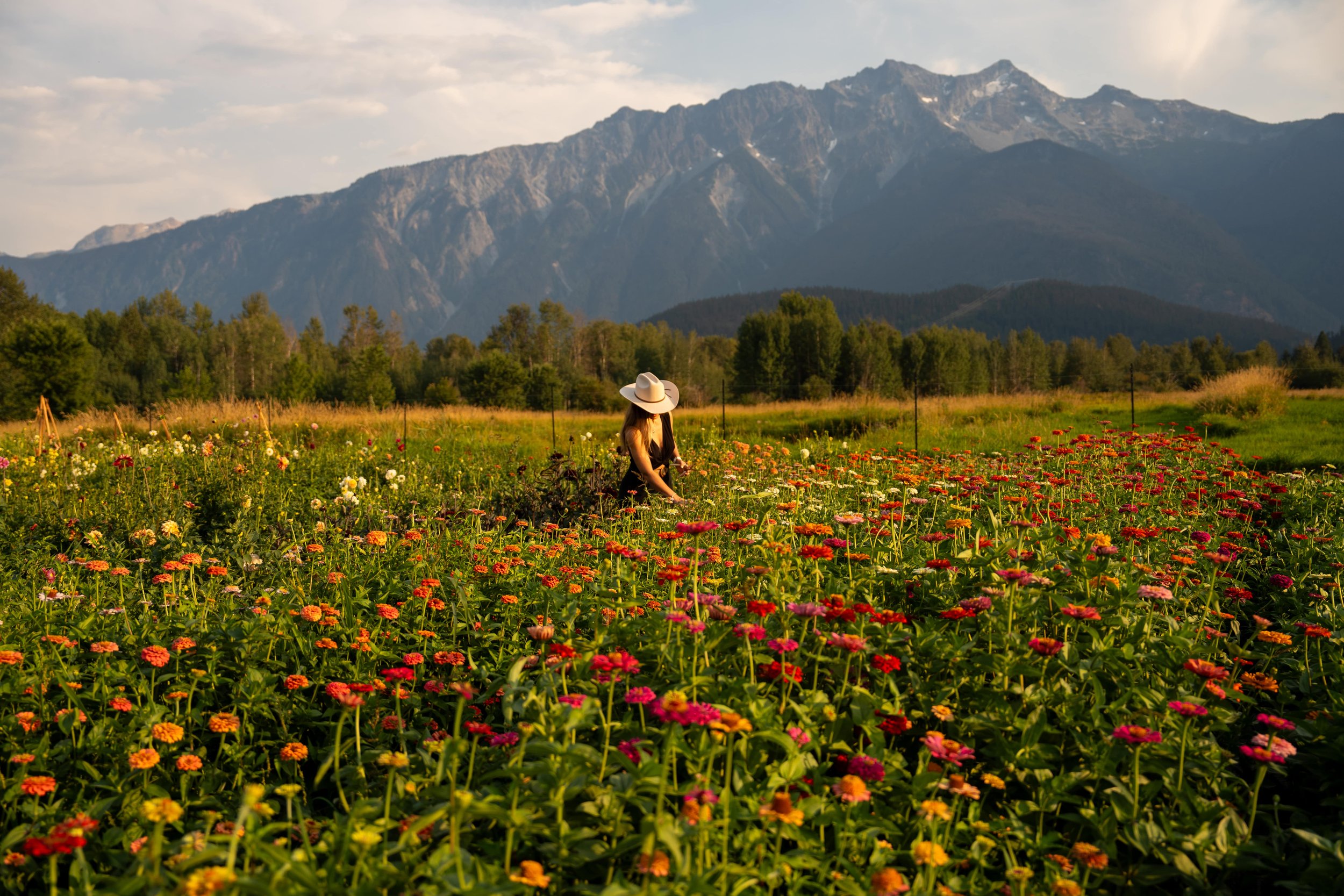 How to Spend the Perfect Weekend in Pemberton, BC: 3-Day Itinerary ...