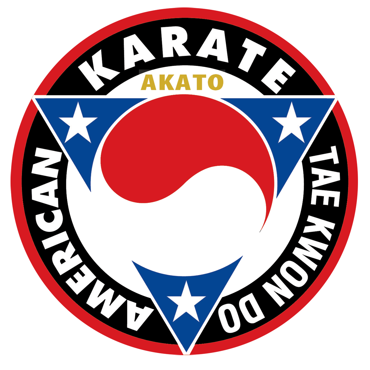 AKATO | Join Martial Arts Excellence Today