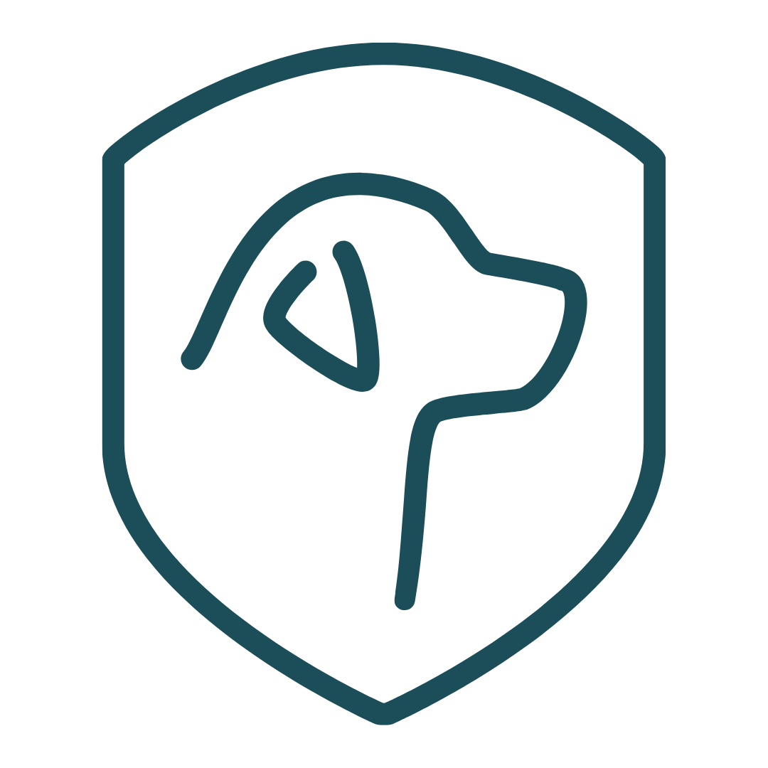 Adopting a Sighthound | everything you need to know about adopting ...