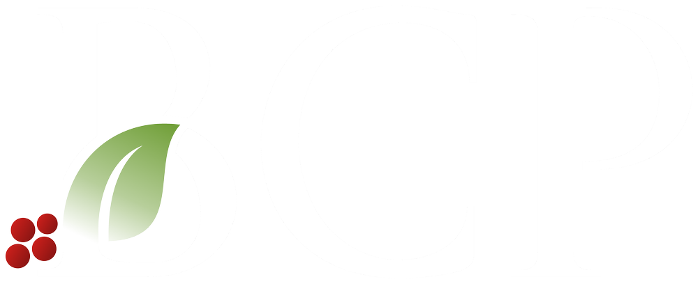 Bayberry Capital Partners