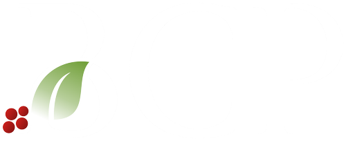Bayberry Capital Partners