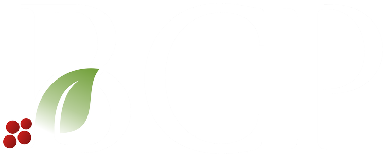Bayberry Capital Partners