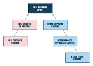 Overview — The Appellate Project