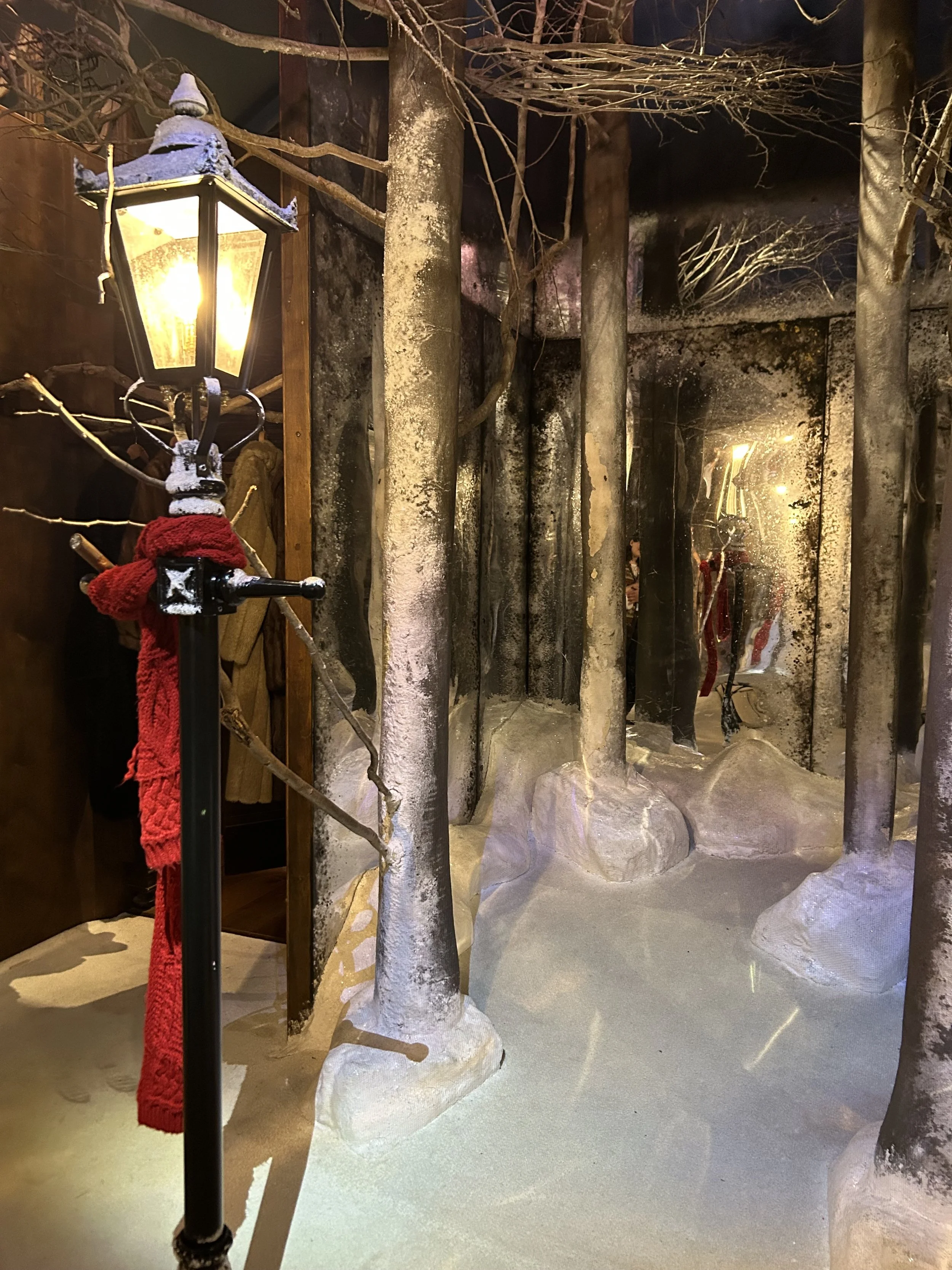 Yesterday in Narnia — Nicolette Jones