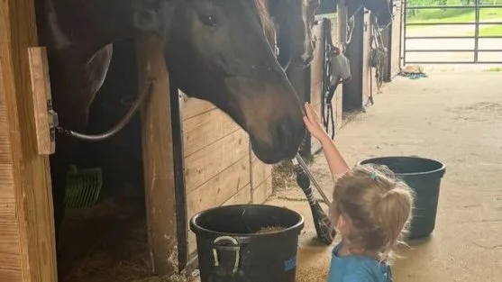 Morning Dove Therapeutic Riding Center