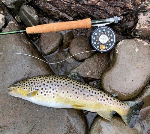 Fly-Fishing on the Historic Beaverkill River — Beaverkill Valley Inn