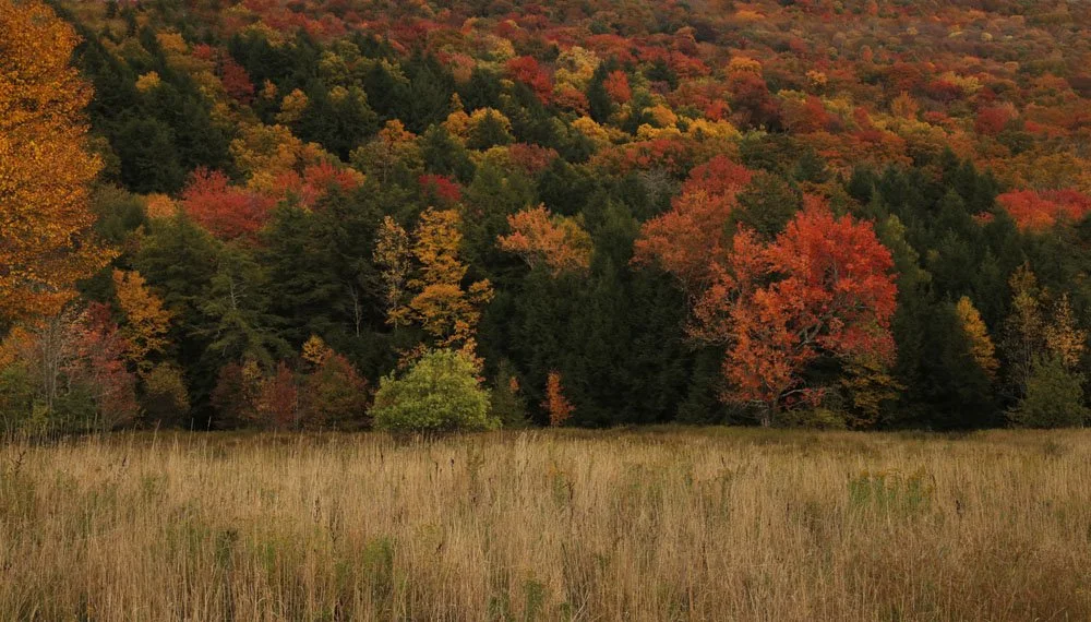 Beaverkill Valley Inn