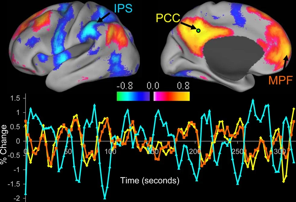fMRI Resources — American Society of Functional Neuroradiology