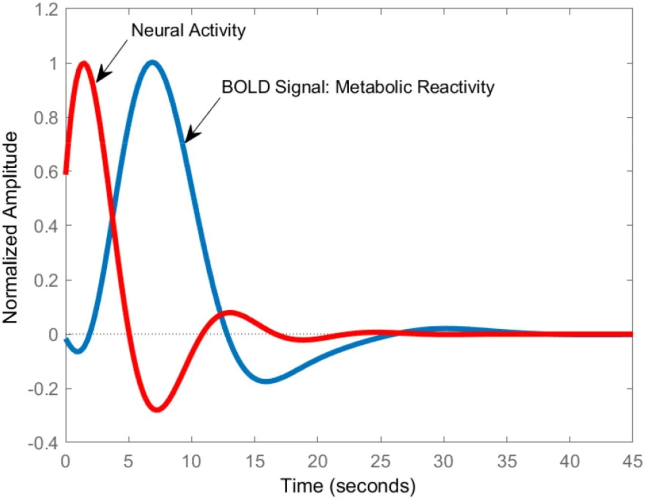 What is BOLD fMRI? — American Society of Functional Neuroradiology