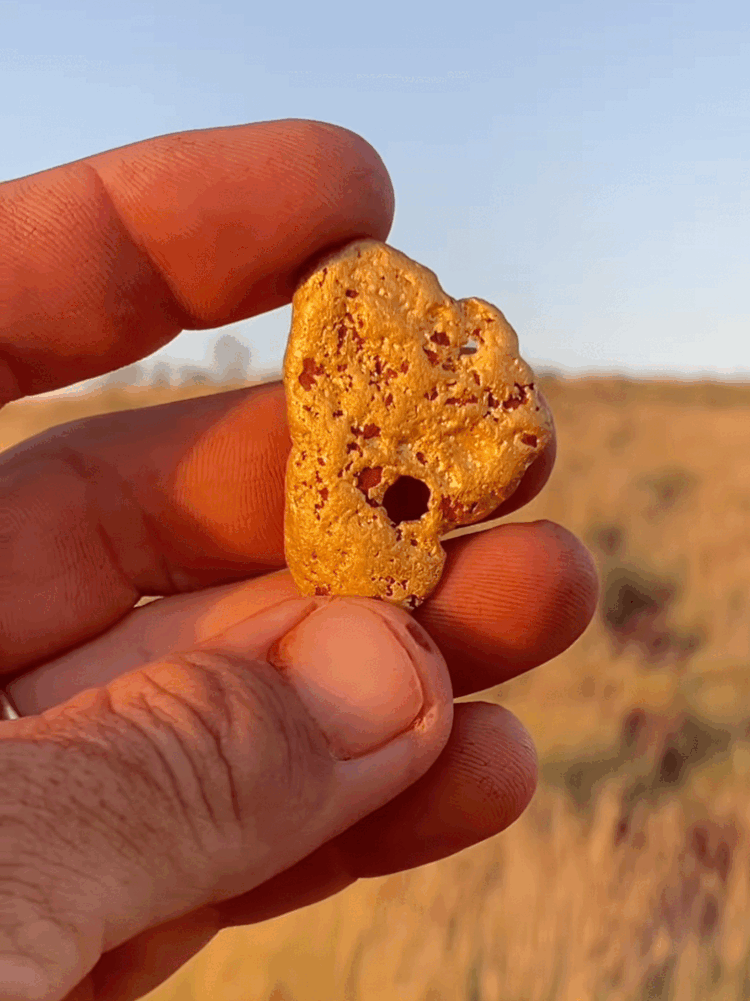 Buy Natural Gold Nuggets – Pilbara Sun Gold | Levi North
