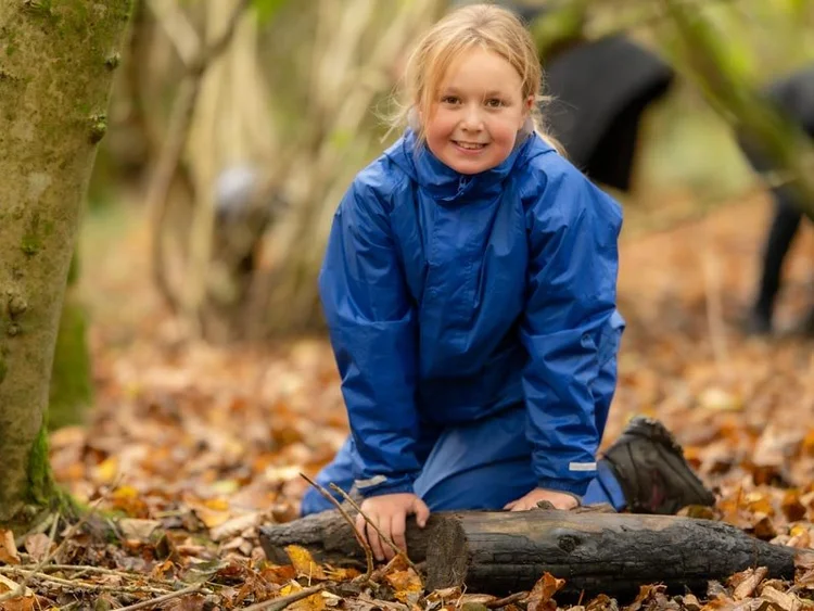 Discovering Walkmill | Explore West Cumbria — Walkmill Community Woodland