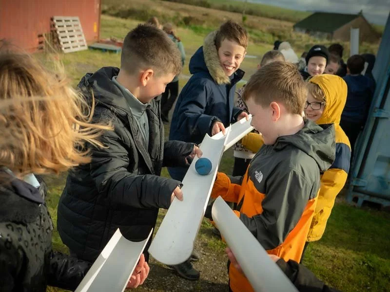 Discovering Walkmill | Explore West Cumbria — Walkmill Community Woodland