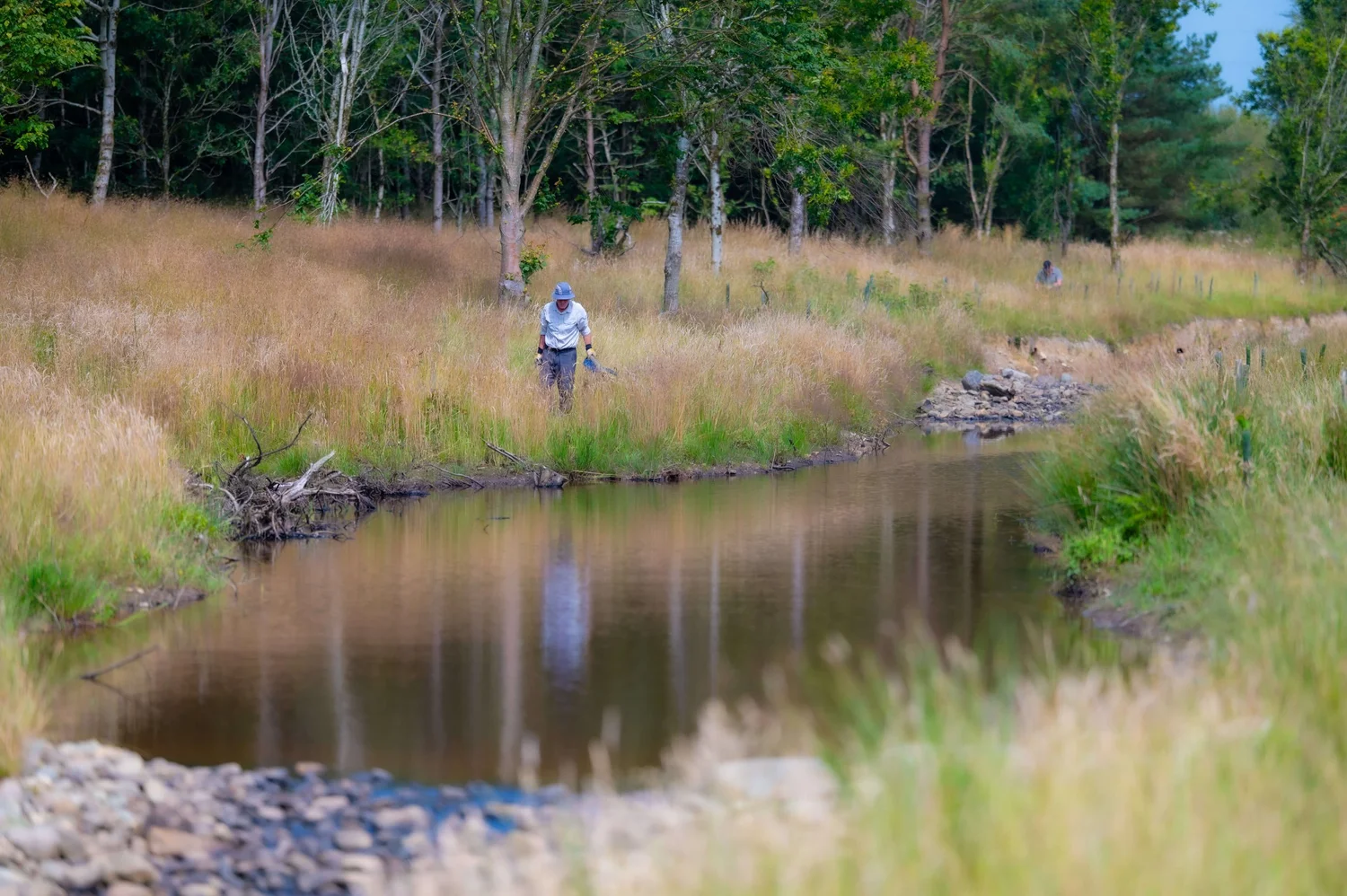 What's On | Discover Walkmill & Explore Local Events — Walkmill ...