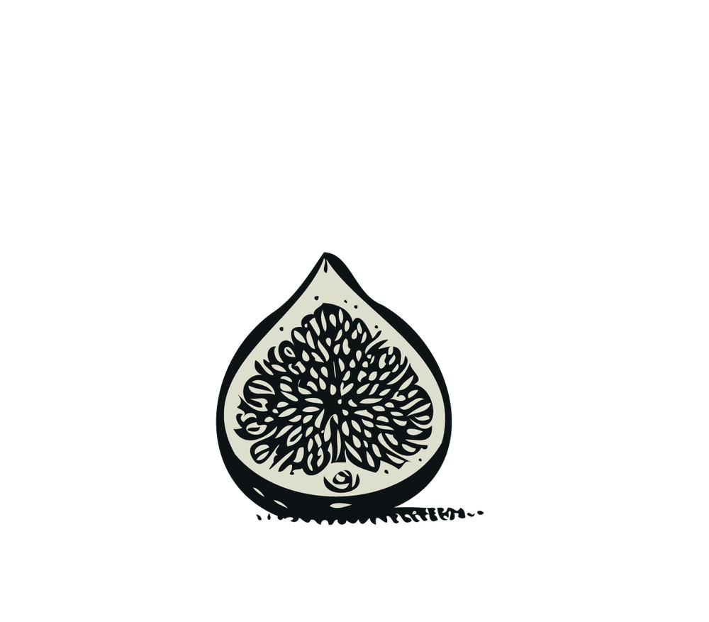 Little Fig Hotel | Book Your Bar Harbor Escape