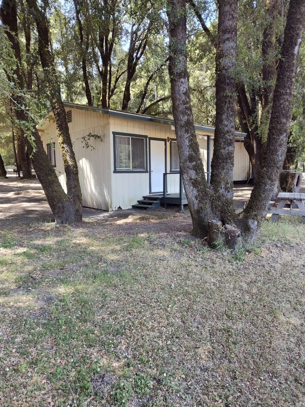 Richardson Grove RV Park & Campground
