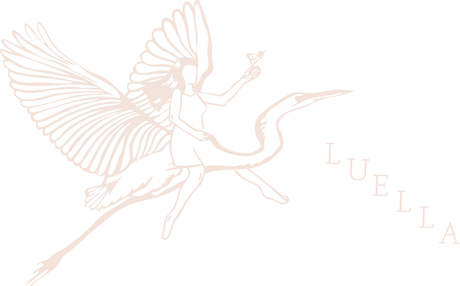 About | Luella — Luella
