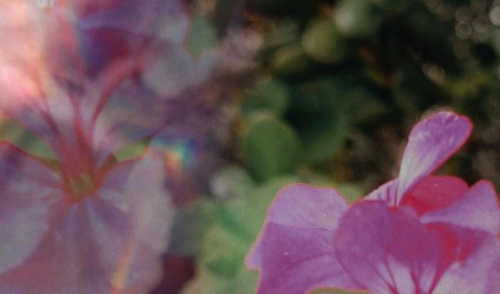 About - Laura Jean Reiki ~ Chronic Pain (TMS) holistic care