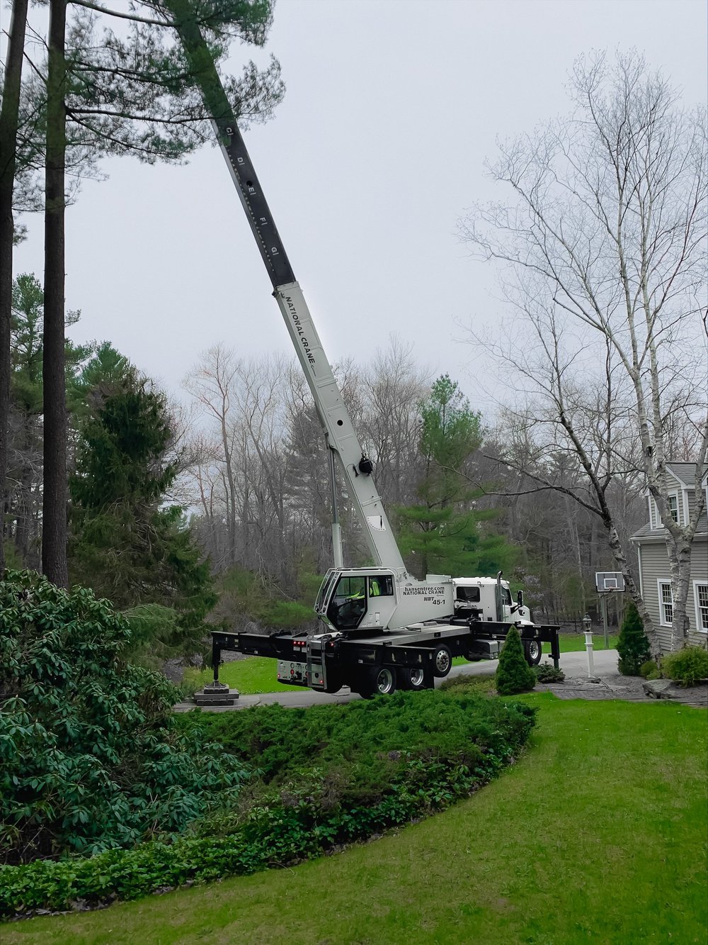 Hansen Tree | Professional Tree Services