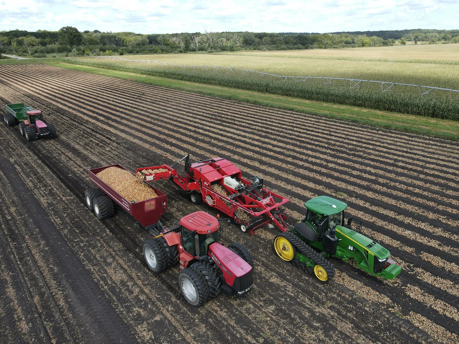 Gumz Farms | Discover Fresh, Local Produce — Shop Now