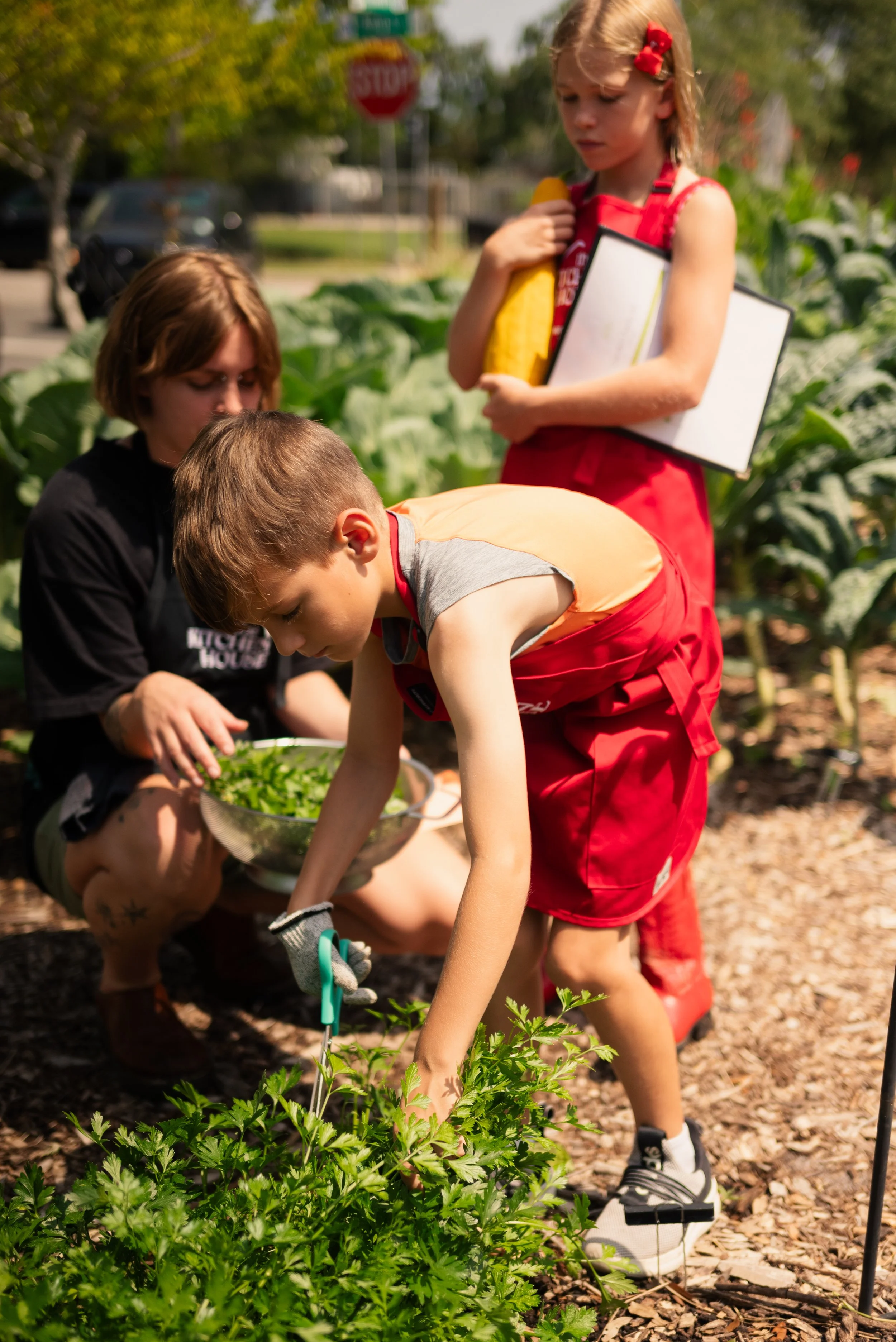 Homeschool Field Trip: Ancient Egypt — The Kitchen House