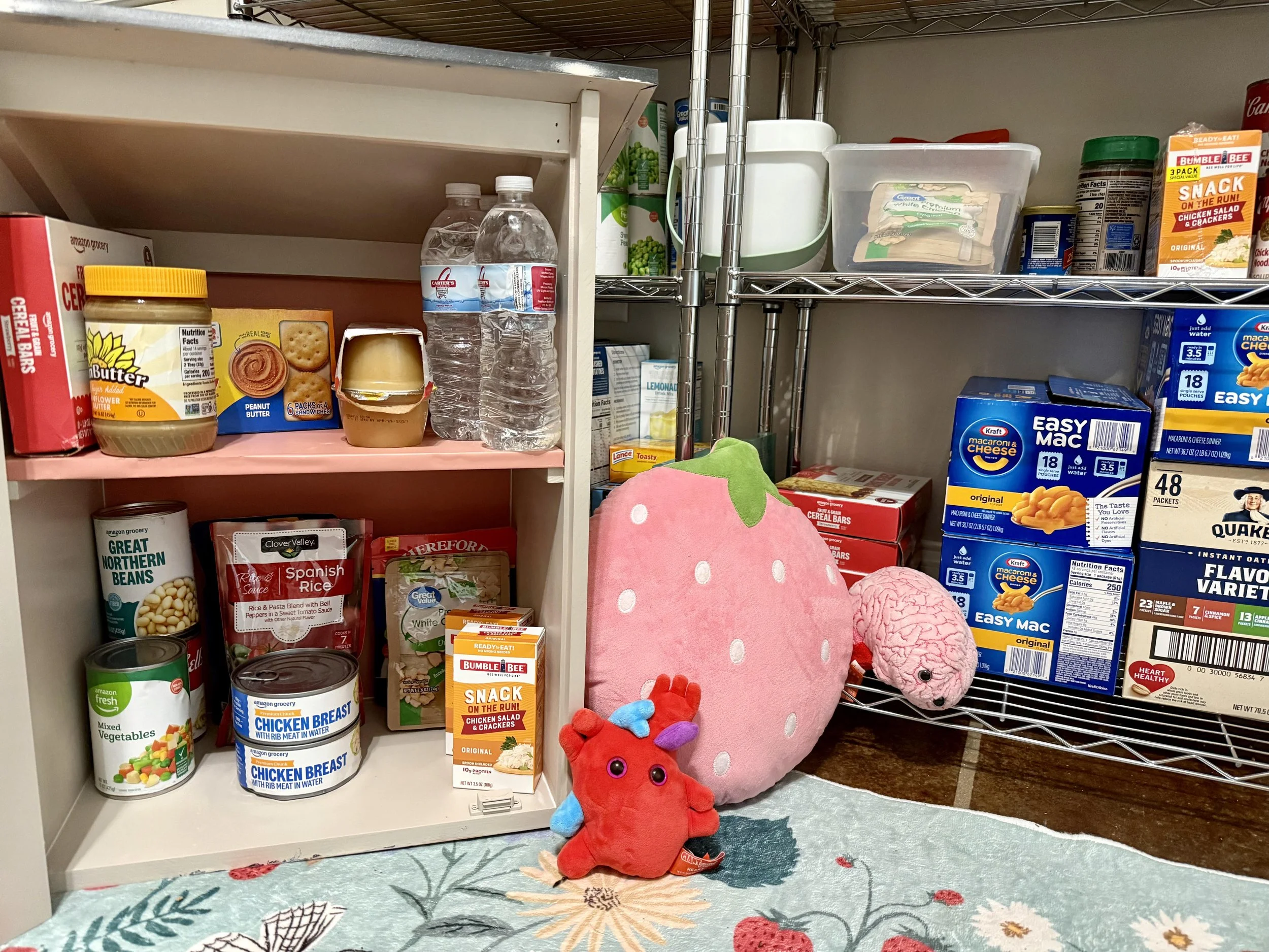 Community Tiny Food Pantries and Free Meals Near You — Whole Heart Health