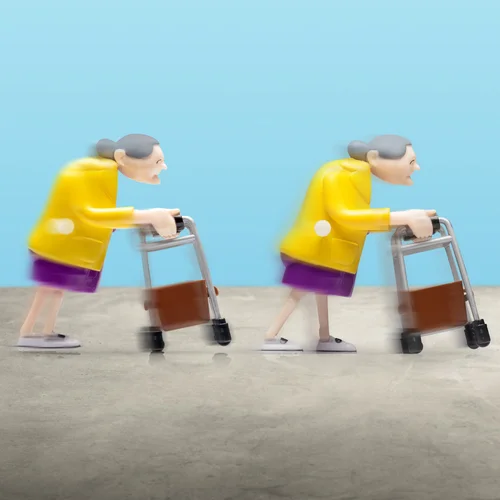One for Fun — Brands in Balance