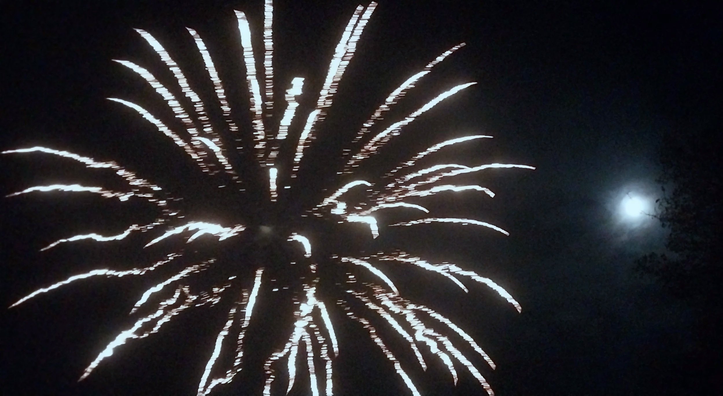 East Dene Firework Party Lights Up Bonchurch — Bonchurch Village