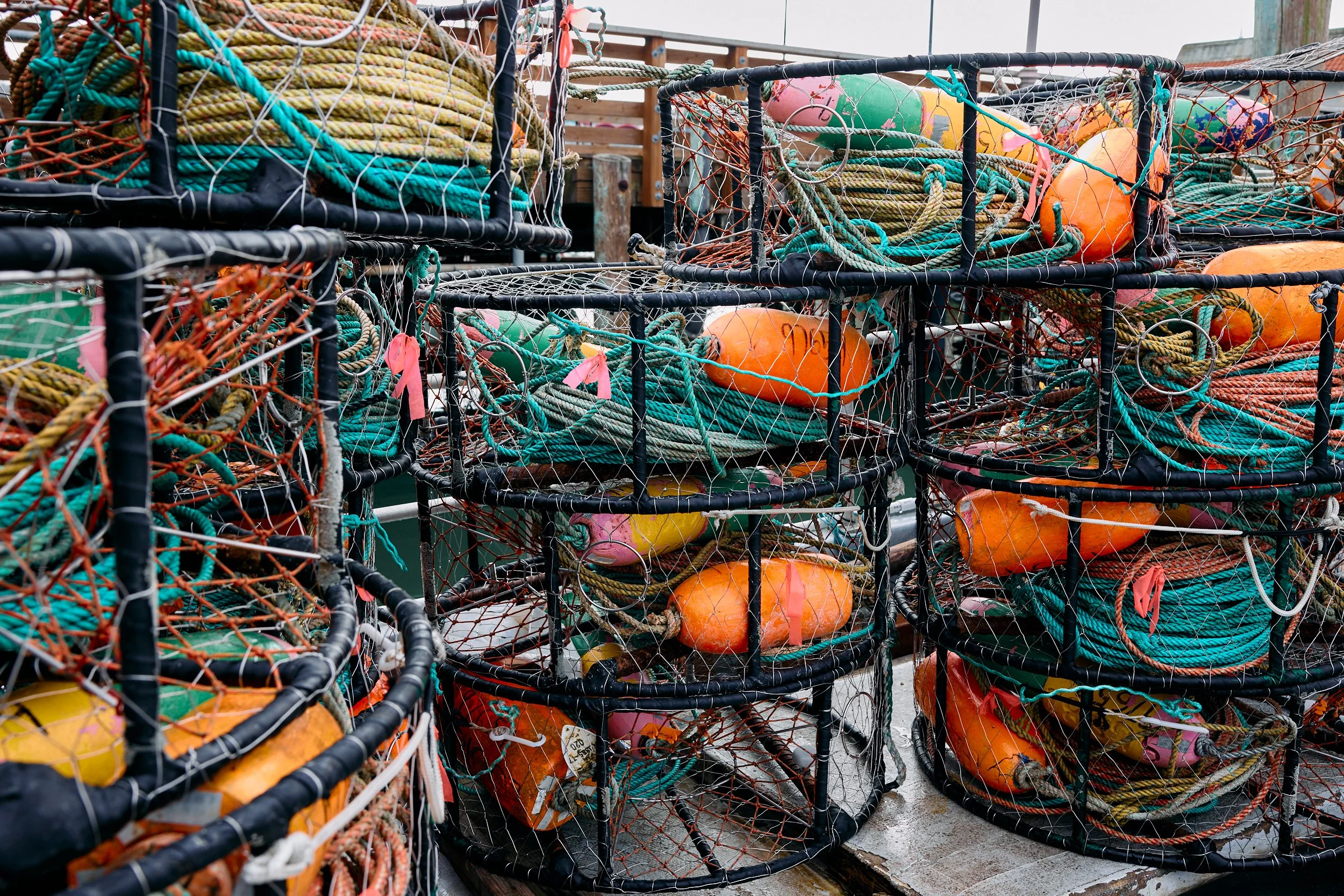 Nopa Fish Market | West Coast Fish Market and Seafood Kitchen