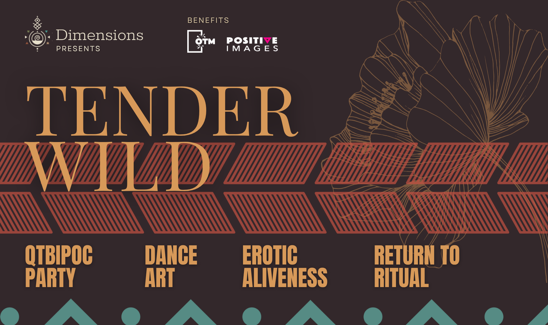 Events | Tender Wild — Dimensions