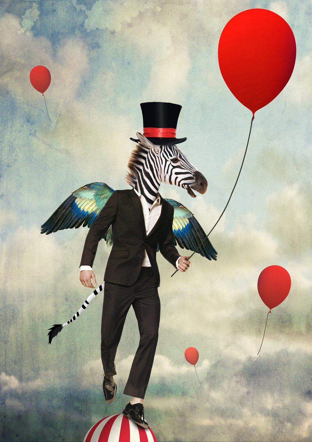 Emily Cooper: Photo Illustration | Creative Photography