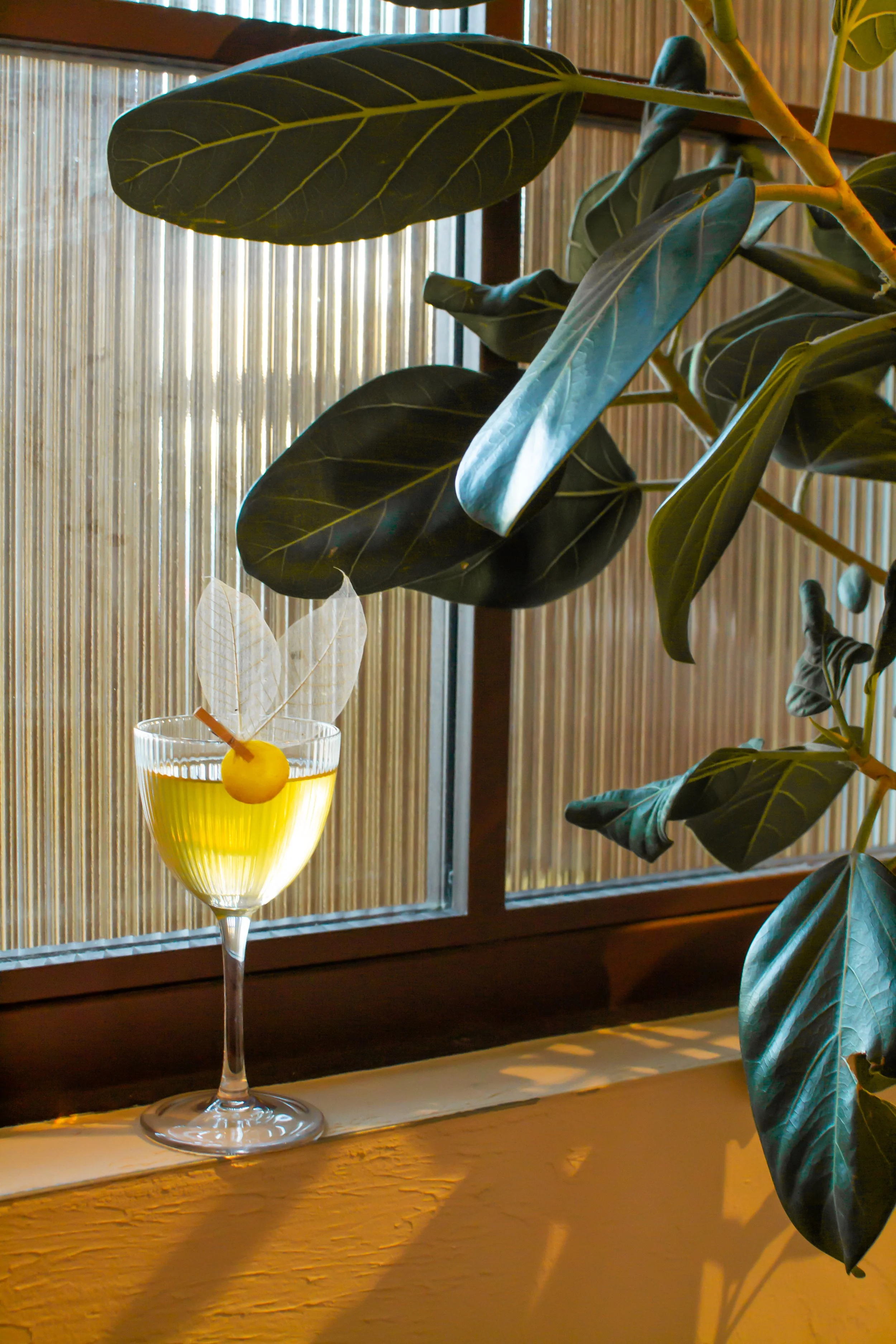Greek Cuisine in Brookline | Bar Vlaha